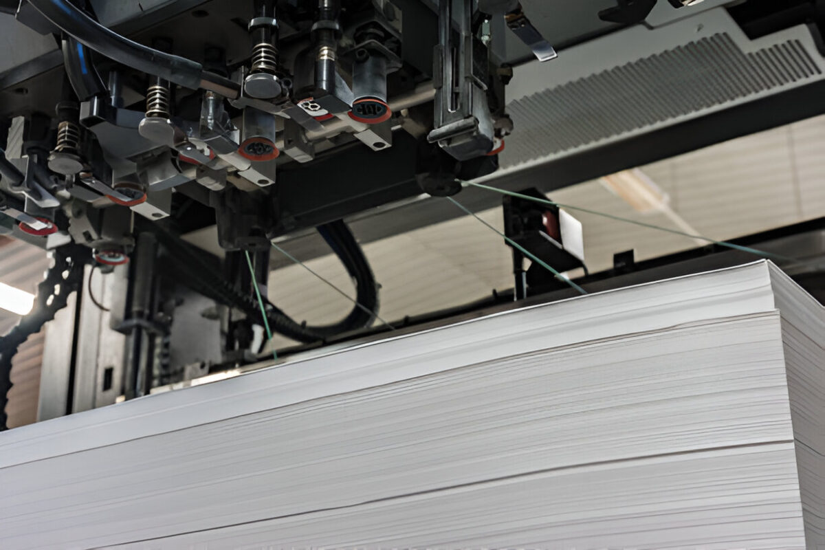 The Power of Backlit Printing in Food and Hospitality Promotion